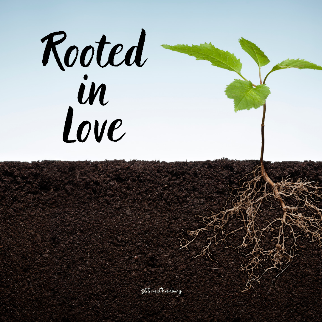 Rooted in Love: Living the Message of Ephesians 3 – Living Life with a ...