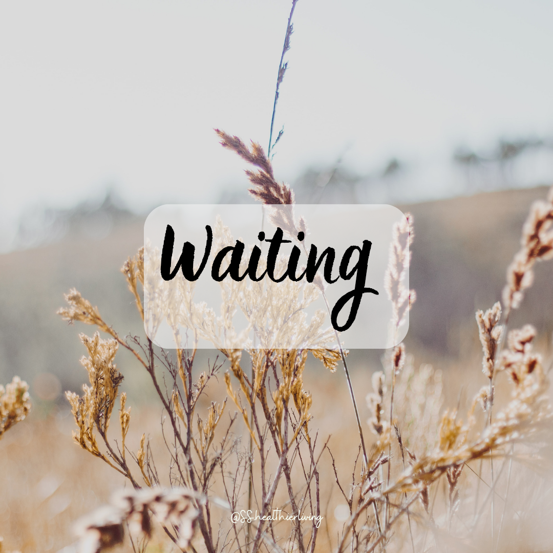 Embracing the Wait: Trusting in God’s Timing – Living Life with a Purpose